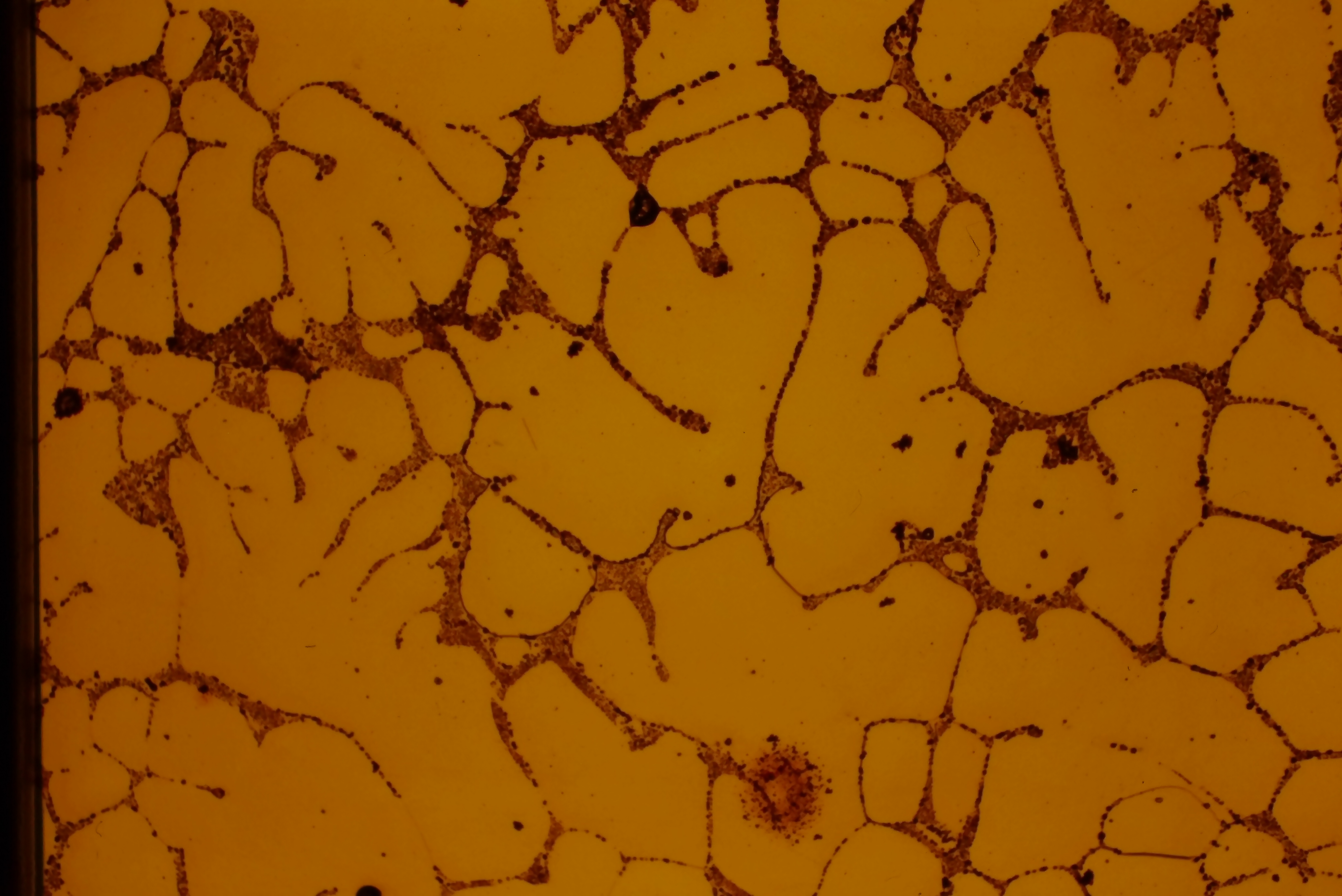 Copper and Copper Alloys | Metallography.org